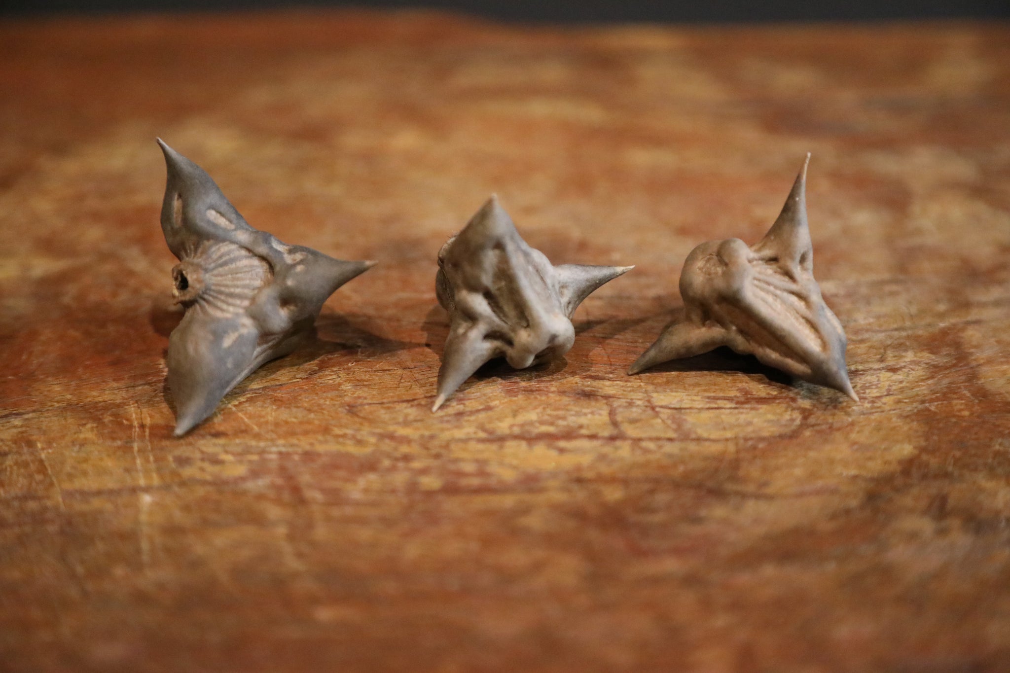 Ninja Small Spikes "MAKIBISHI" – Ninja Store Japan